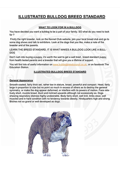 The Breed - British Bulldog Club of SA Inc
